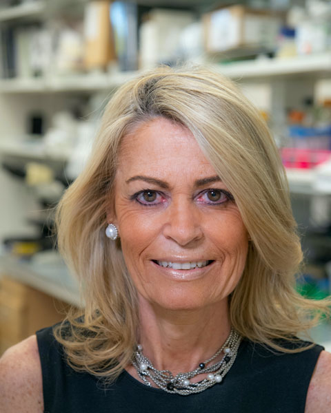 ACR Convergence 2023